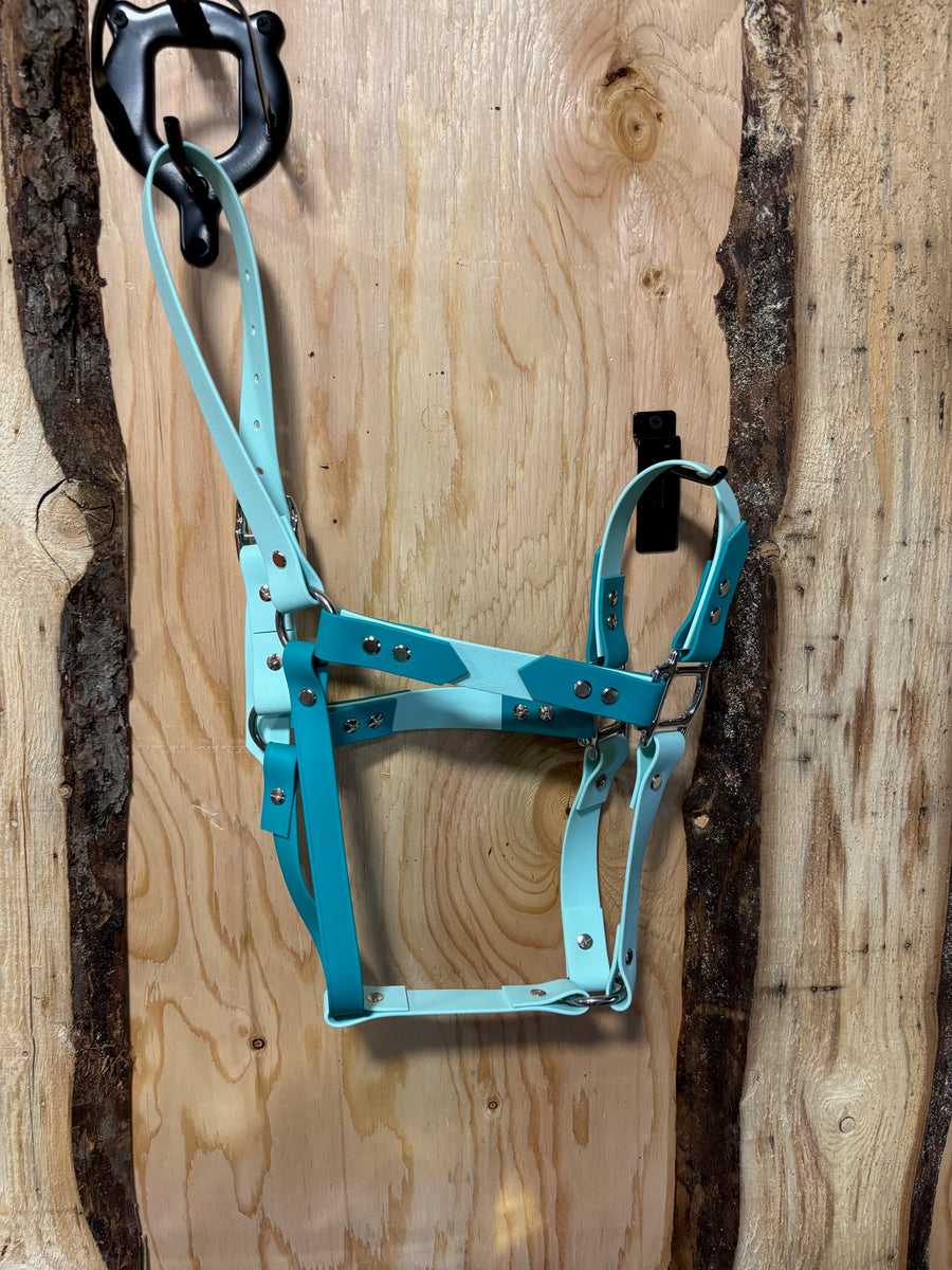 Biothane Halter-Blue and Teal- Full – The Tack Trove