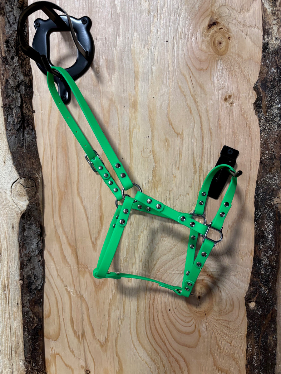 Biothane Halter-Green-Mini – The Tack Trove
